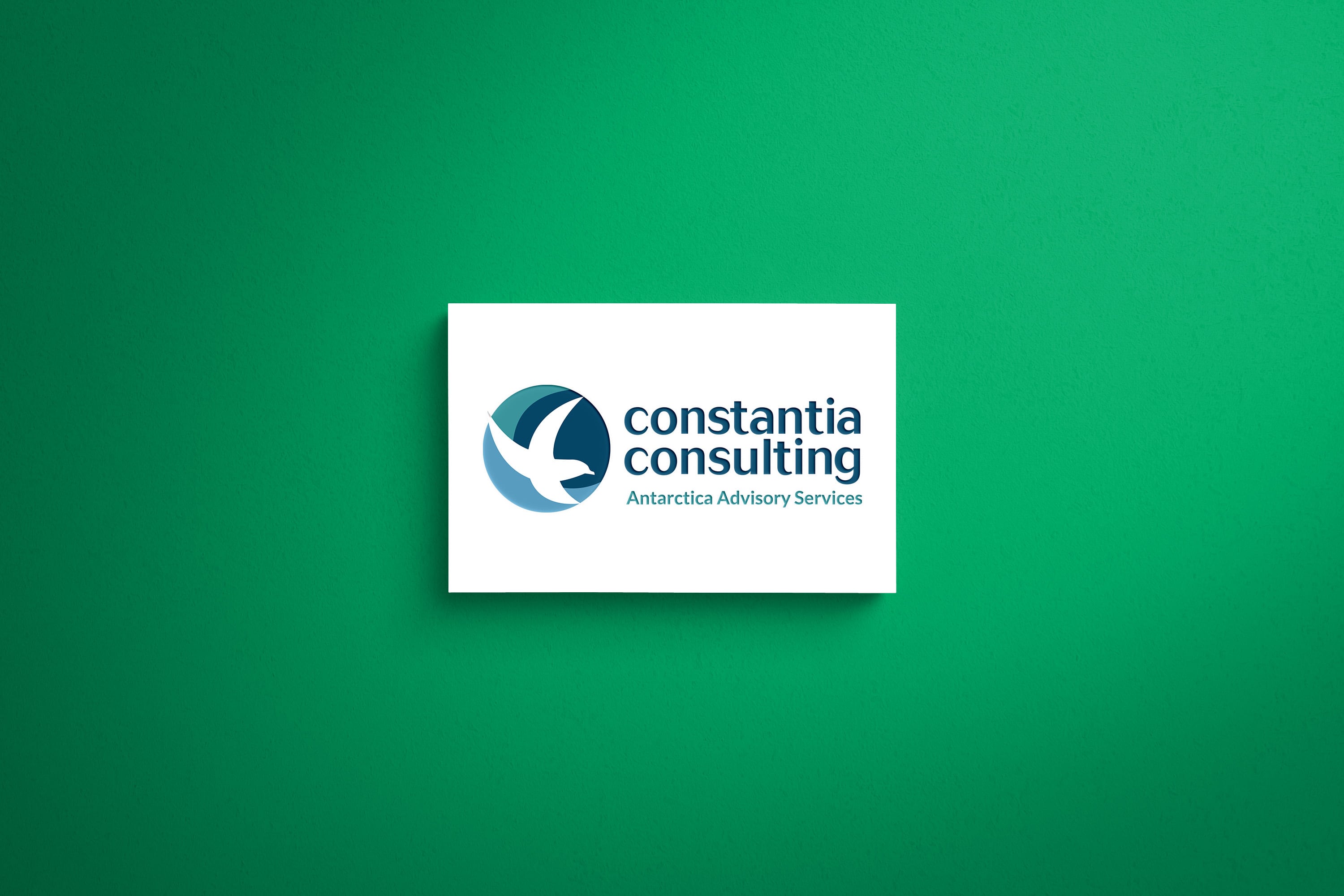 Constantia Antarctica - Branding - Pinnacle&Co. Ltd.